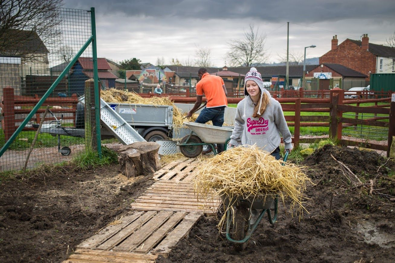 Gallery video format - Timebanking UK